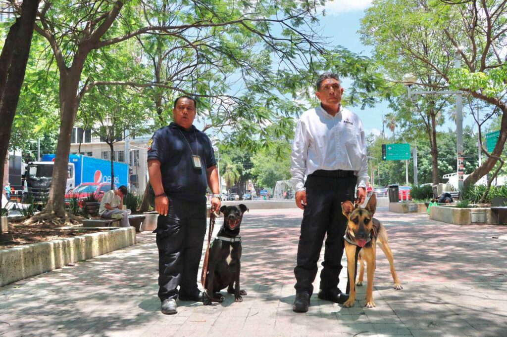 Consolida SADER Jalisco liderazgo agroalimentario en 2025 - El Respetable